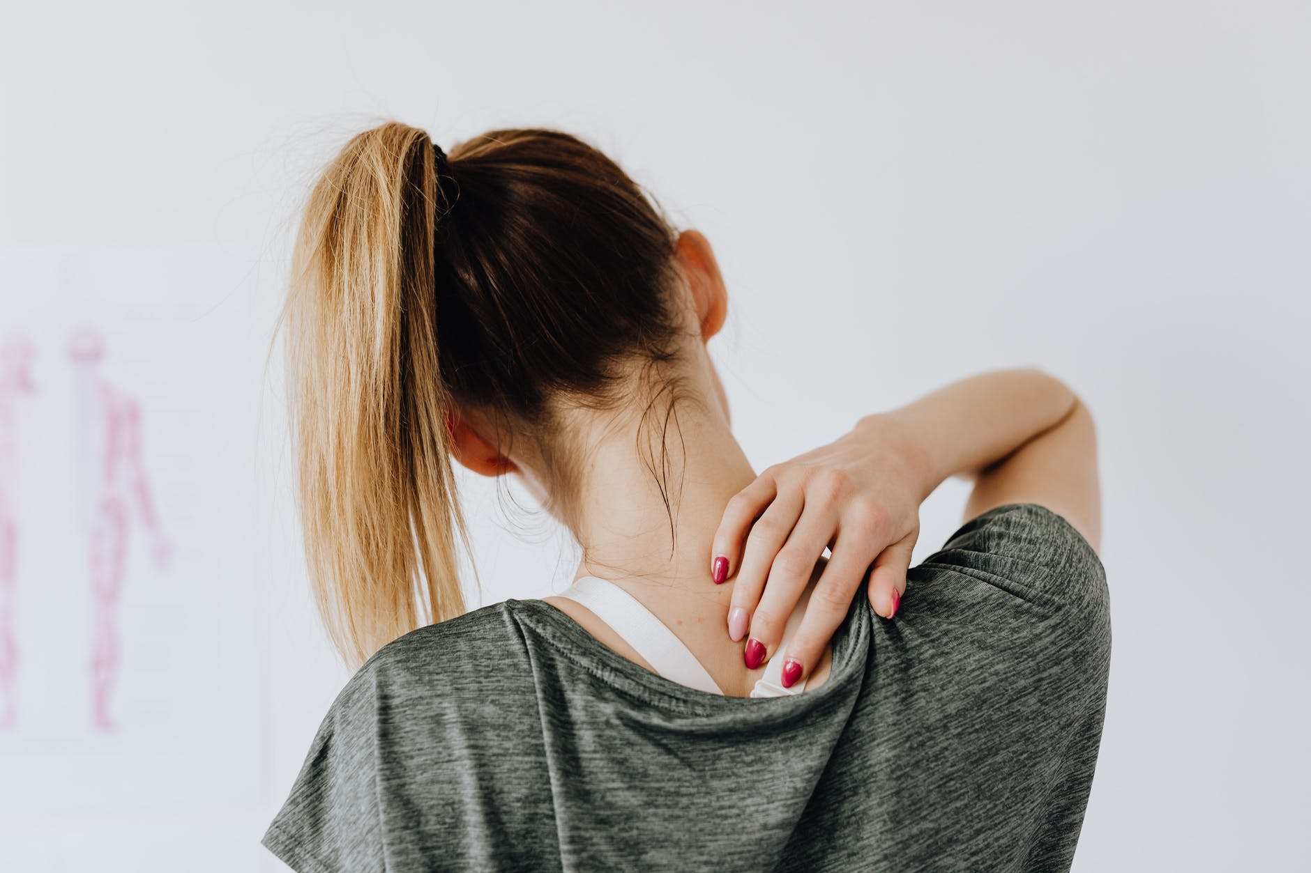 Levator Scapulae Pain – Physio Insights
